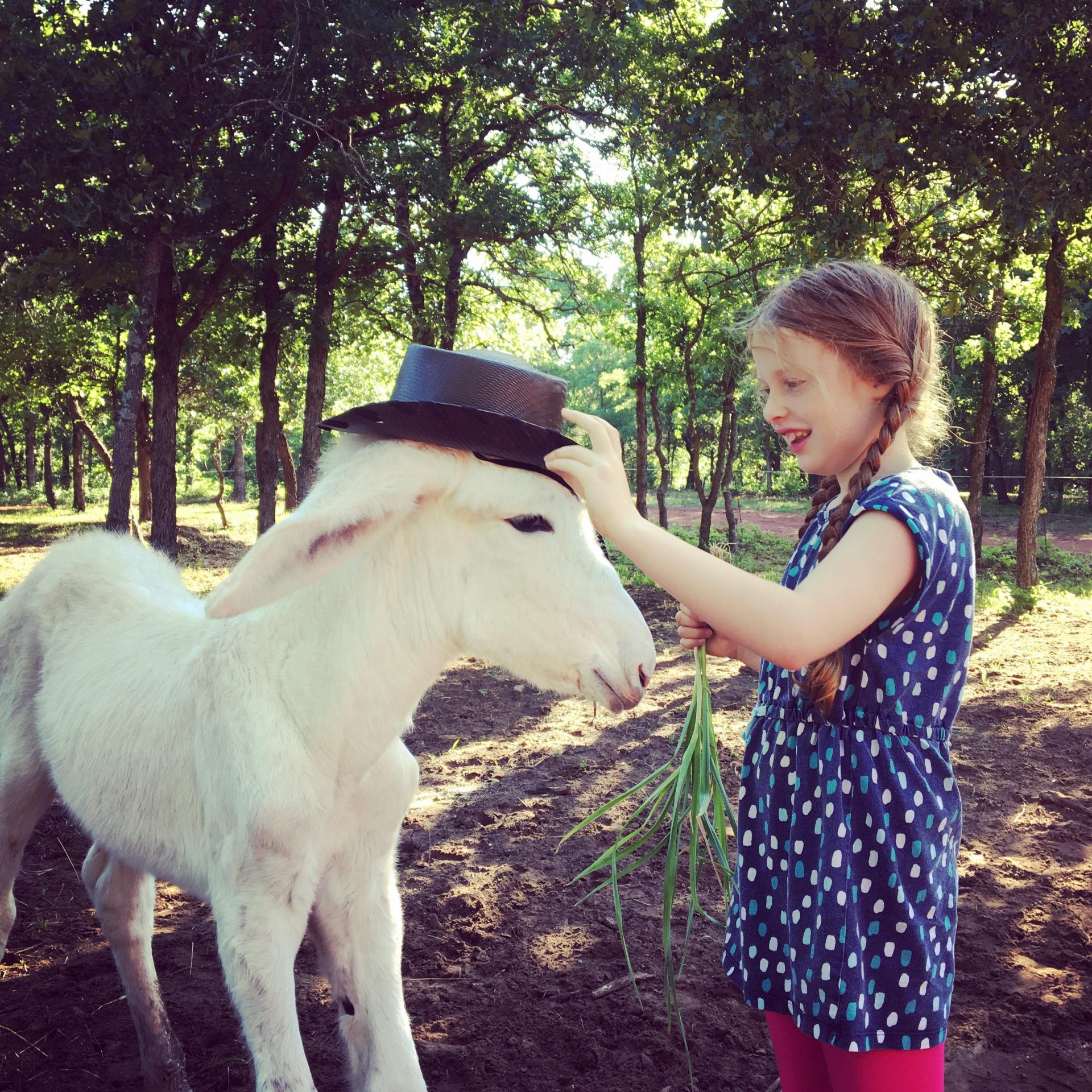 Made in Oklahoma: Dulce de Donke - Senior News and Living